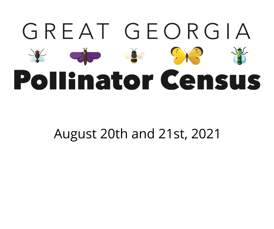 August 20th and 21st, 2021 – The Great Southeast Pollinator Census