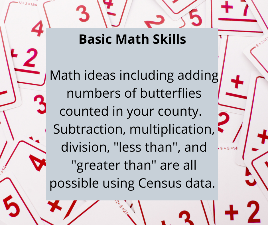 Basic Math – The Great Southeast Pollinator Census