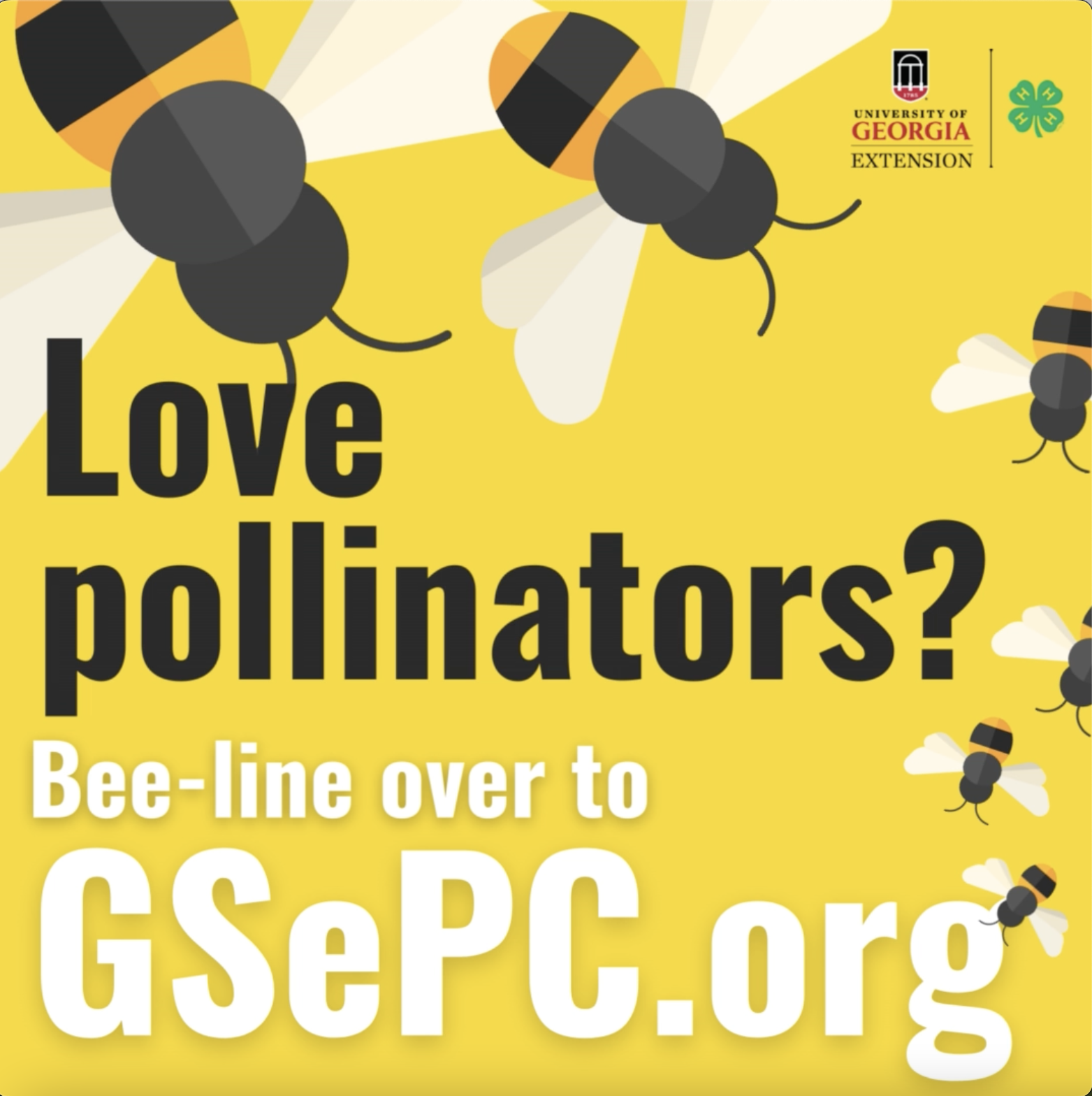 Bees photo meme – The Great Southeast Pollinator Census