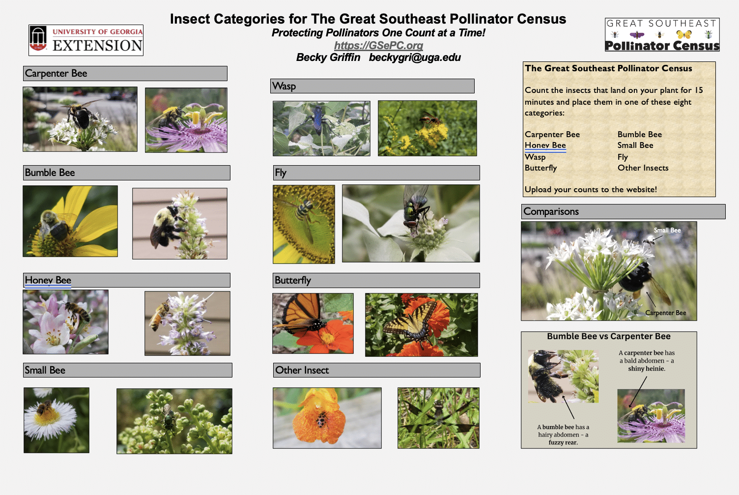 Poster – The Great Southeast Pollinator Census